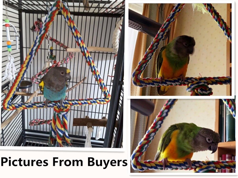 Stor papegødu leketøy fugl bite leketøy stopp bar ... – Grandado