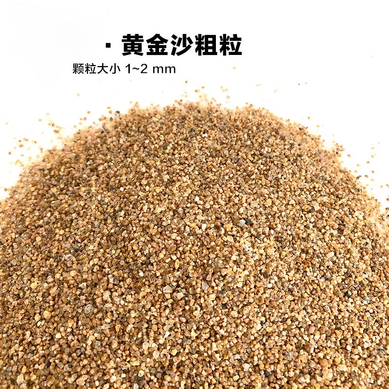 100g 1-2mm Tiny Size Golden Sands Aquarium Landsch... – Grandado