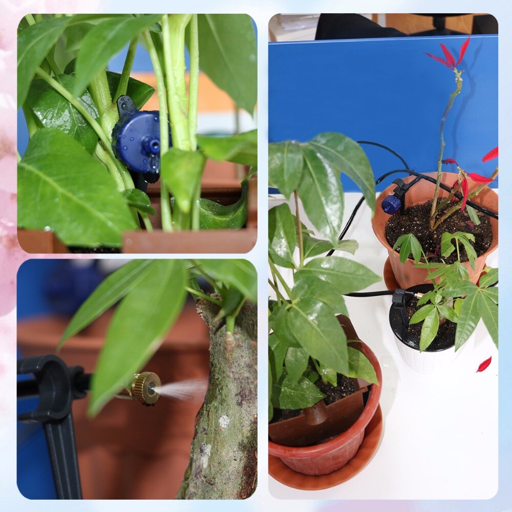 10m 4/7 Hose Automatic Drip Irrigation System Gard... – Vicedeal