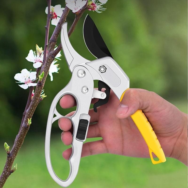 1pc Labor-saving Fruit Tree Pruning Scissors Segme... – Vicedeal