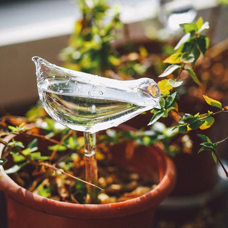Glas planter vand automatisk havesystem selvvandin... – Grandado