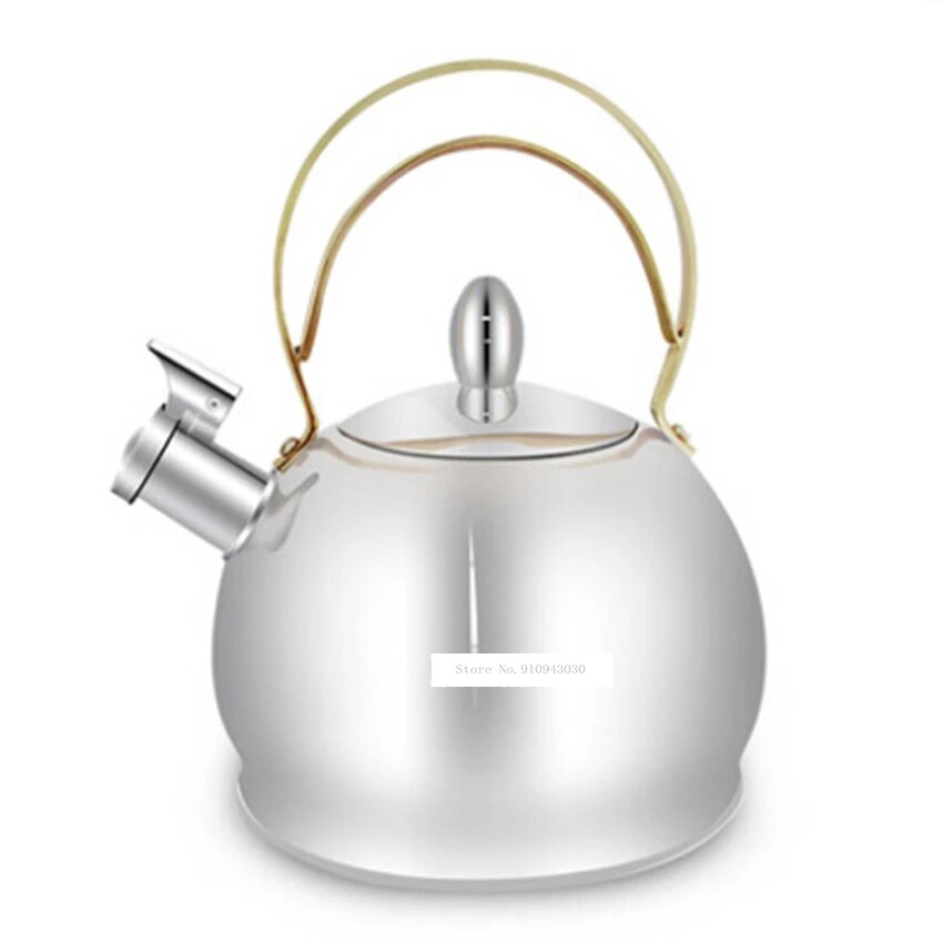 Stainless Steel Kettle GS-04043G Automatic Whistle... – Grandado