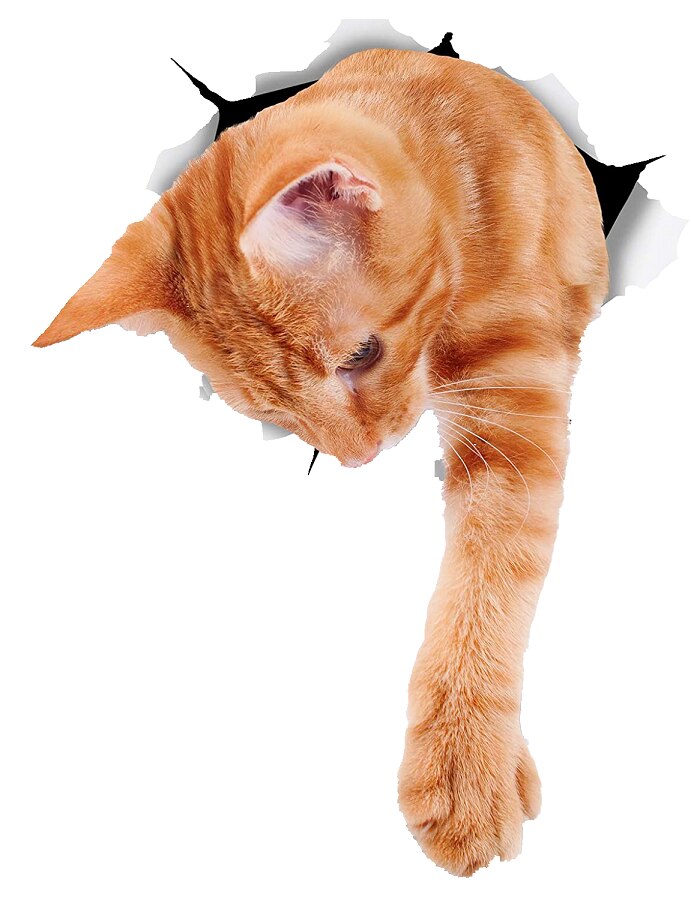 Three Ratels FTC-1097 3D Reaching Ginger Cat Stick... – Grandado
