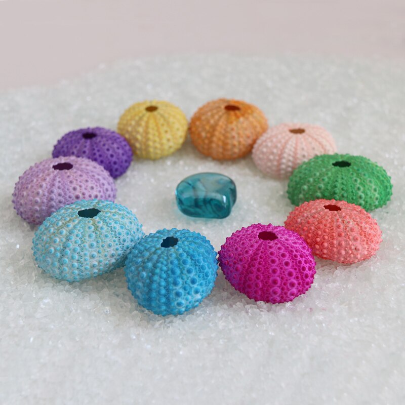 (10 stks/partij) 10 Kleuren Kleine Zee-egel Natuur... – Vicedeal