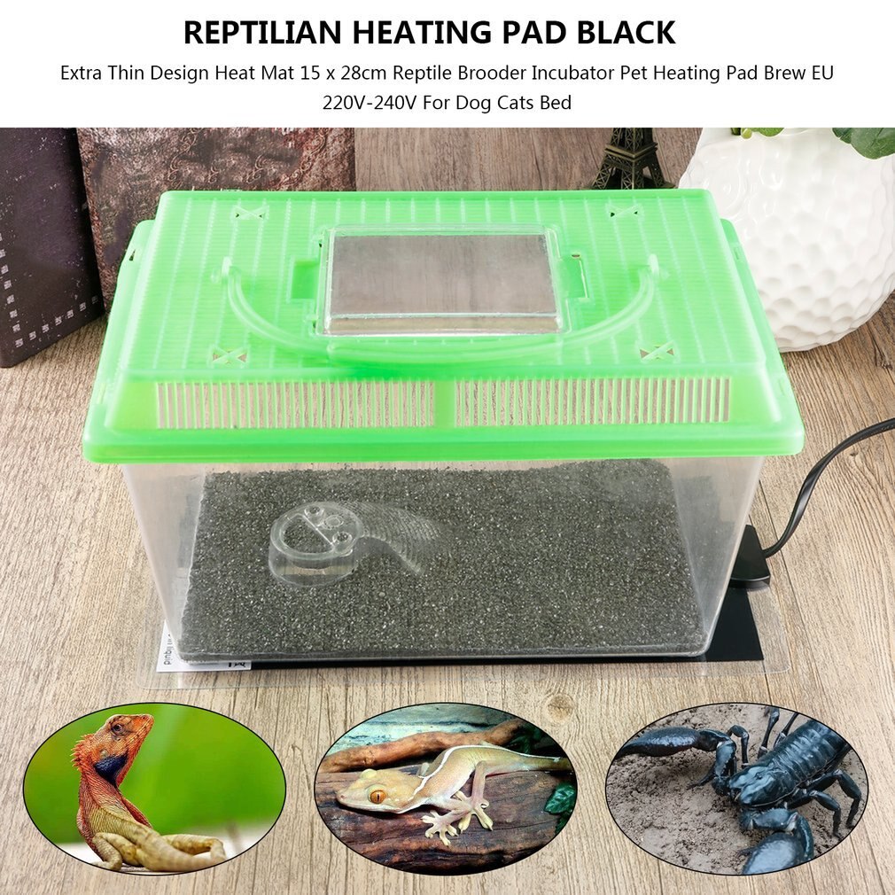 Popular Extra Thin Heat Mat 15x28cm 7W Reptile Bro... – Vicedeal