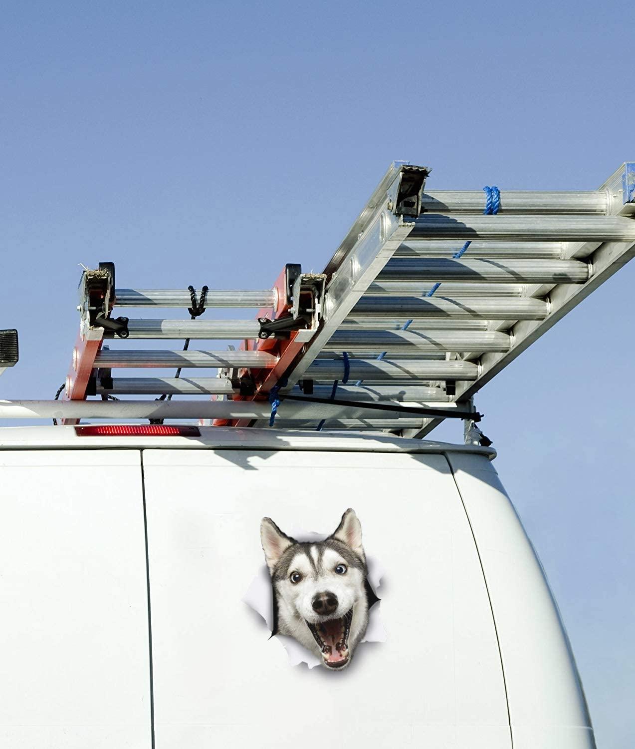 Three Ratels 1056 Three Ratels 3D Dog Stickers Hap... – Grandado