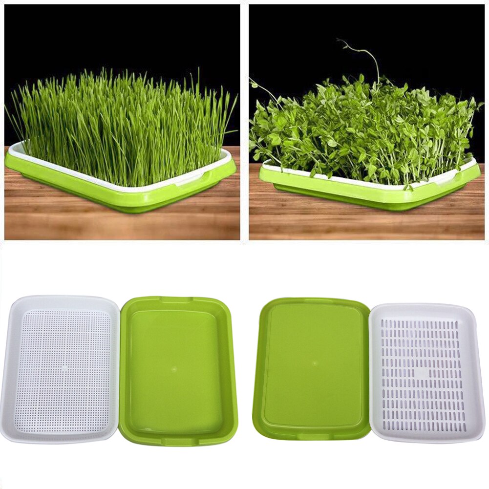 Bud Sprouts Seedling Hydroponics Tray Nursery Grow... – Vicedeal