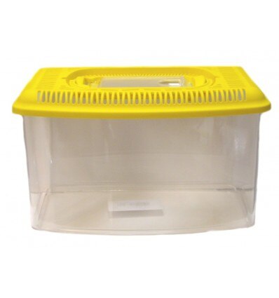 Acuario-terrario plastico mediano 6 l. – Grandado