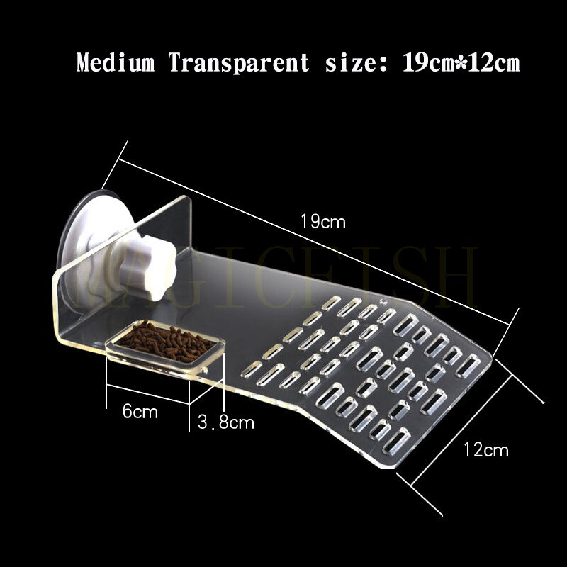 Transparent Acrylic Terrace Reptiles Turtle Climb ... – Vicedeal