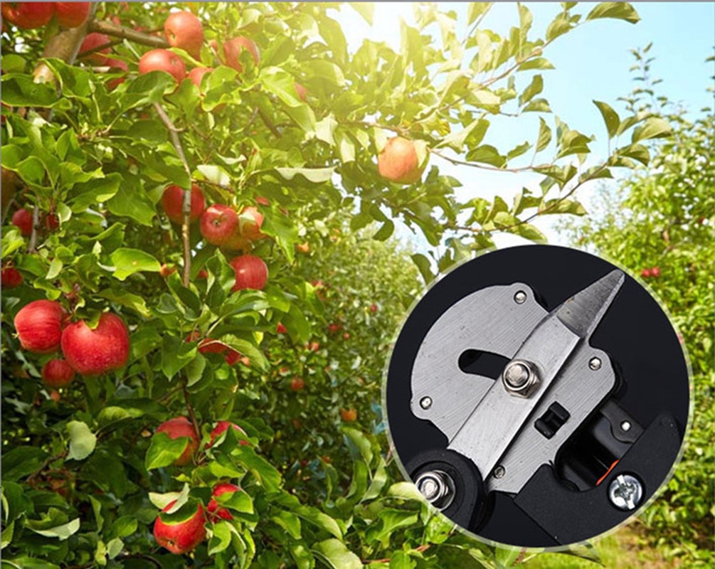 Plant Cut Nursery Garden Branch Cutter Scissor She... – Vicedeal