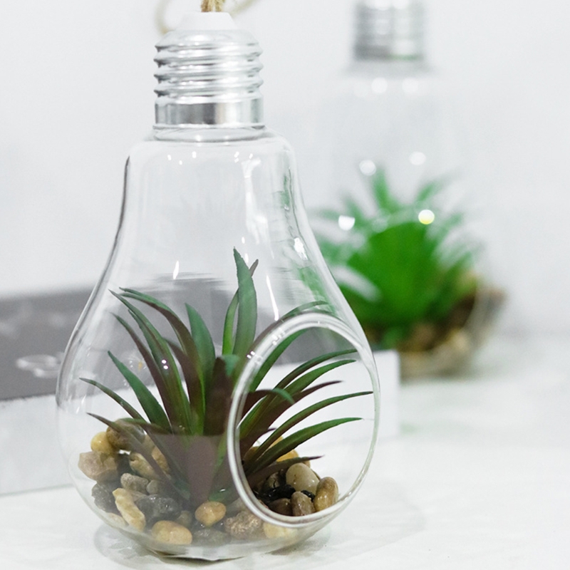 Glass Hanging Planter, Light Bulb Shaped Hanging A... – Grandado