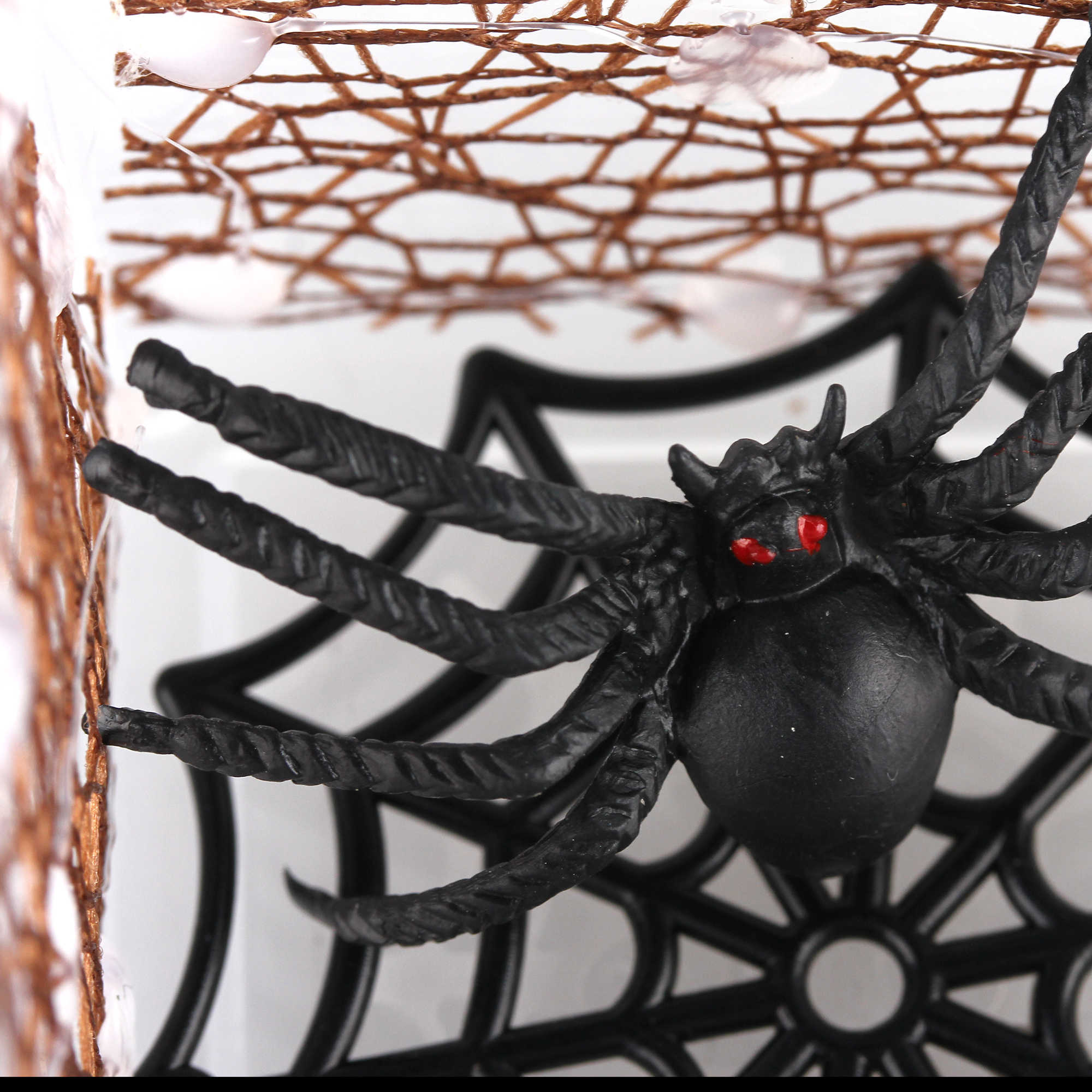 Spider mantis bug catcher for kids research live c... – Grandado