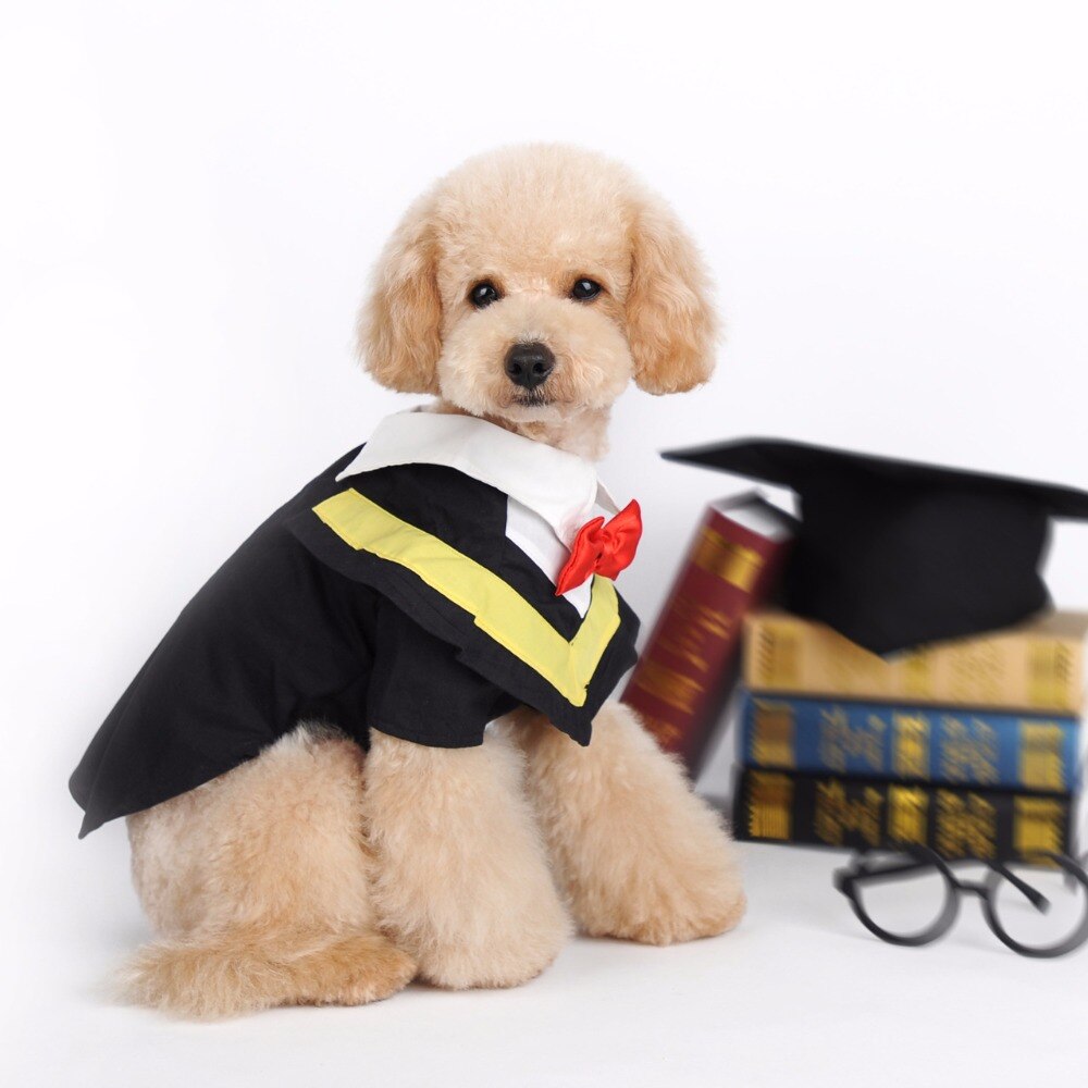 Dog clothes pet clothes graduation doctor suit tur... – Grandado
