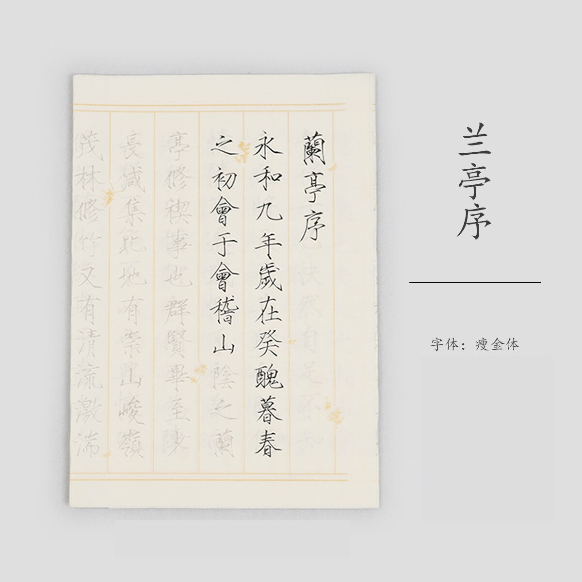 Chinese Calligraphy Practice Copybook for Beginner... – Vicedeal