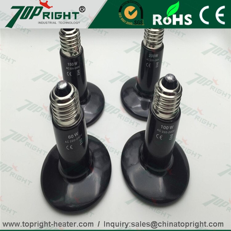 75x102mm 150W Infrared ceramic heat lamp for anima... – Vicedeal