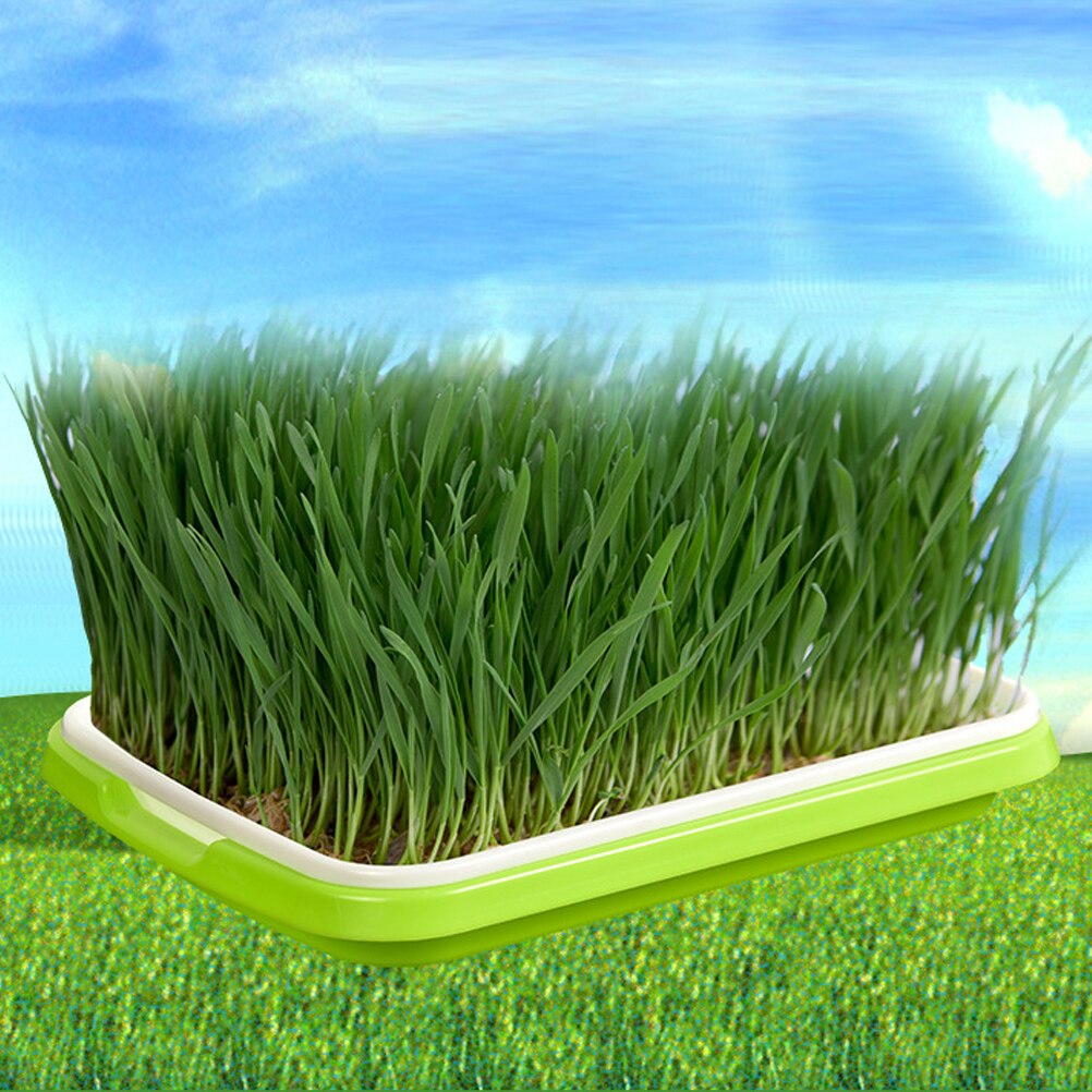 2Pcs Plastic Double-Layer Seedling Sprouter Nurser... – Grandado