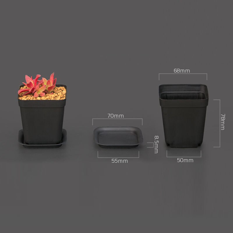 Mini Plastic Bloem Vaas + Plastic Lade Vierkante P... – Grandado