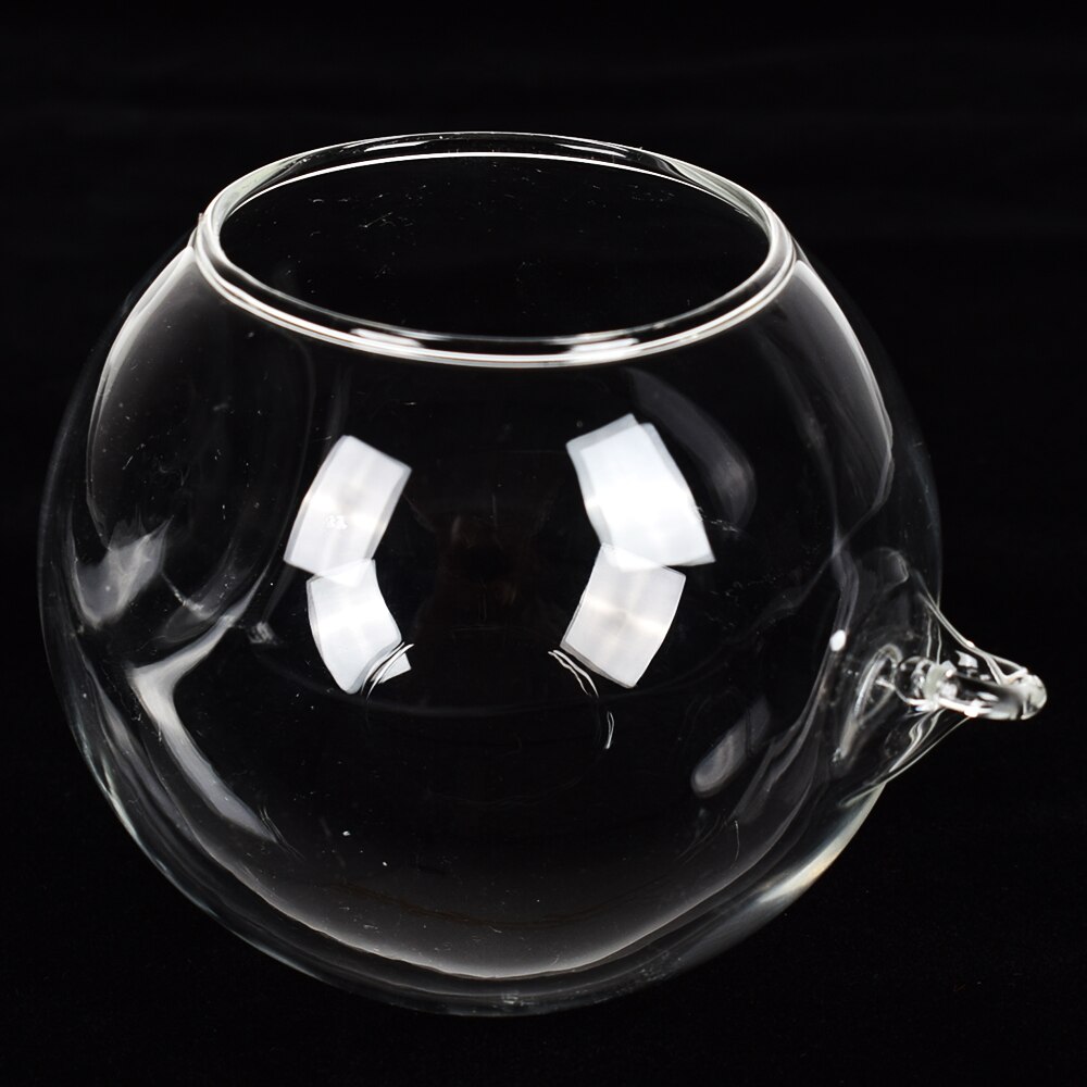 Clear Hanging Ball Glass Flowerpot Office Garden D... – Grandado