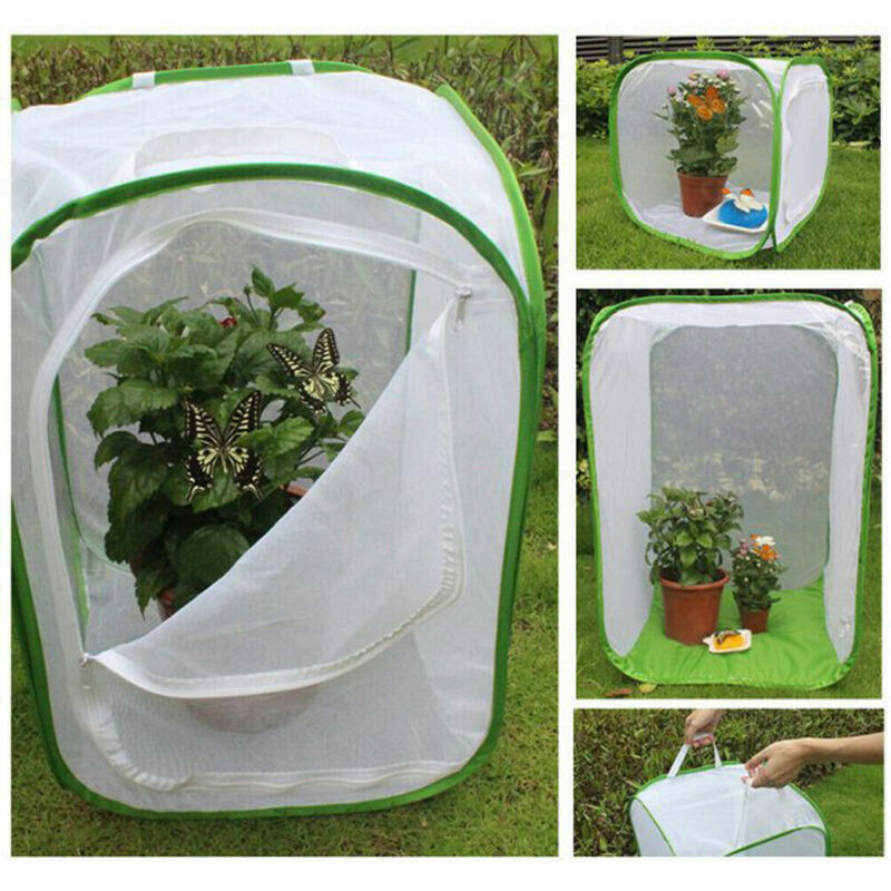 Foldable Habitat Insect Cage Mesh Transparent Surf... – Vicedeal