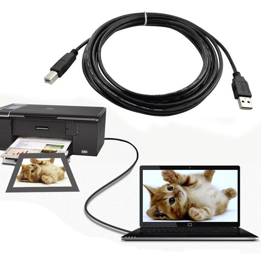 1m Replacement Square Mouth USB 2.0 High Speed Hom... – Grandado