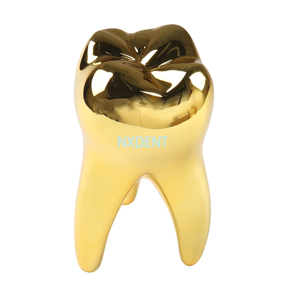 Dentist Small Tooth Model Figurines Ornament Artcr... – Grandado