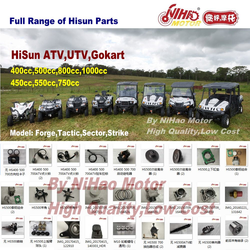HS-113 HS800 Piston Hisun Parts HS2V91MW 800cc HS ... – Grandado