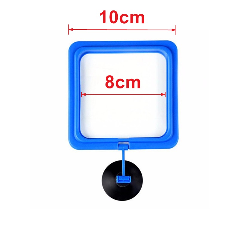 Glass Fish Tank Feeder Tube Dish Shrimp Fish Snail... – Grandado