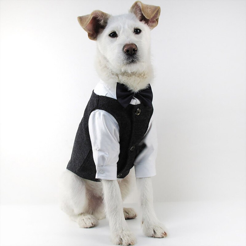 Pet Dog Costume Gentleman Suit Formal Coat/Vest Pa... – Grandado