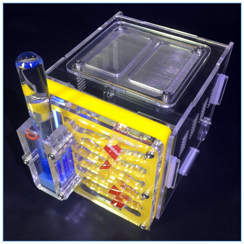 Pocket Mini Ant Housing Nest Insect Cage Farm With... – Grandado