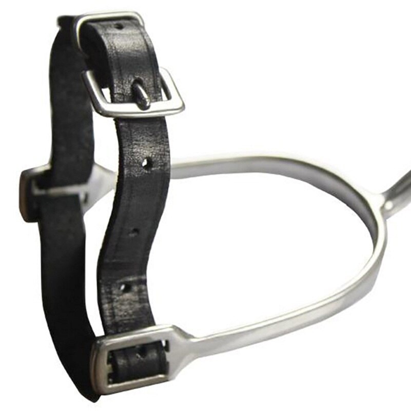 1 Pair Western Horse Spurs Low-carbon Steel Horse ... – Vicedeal