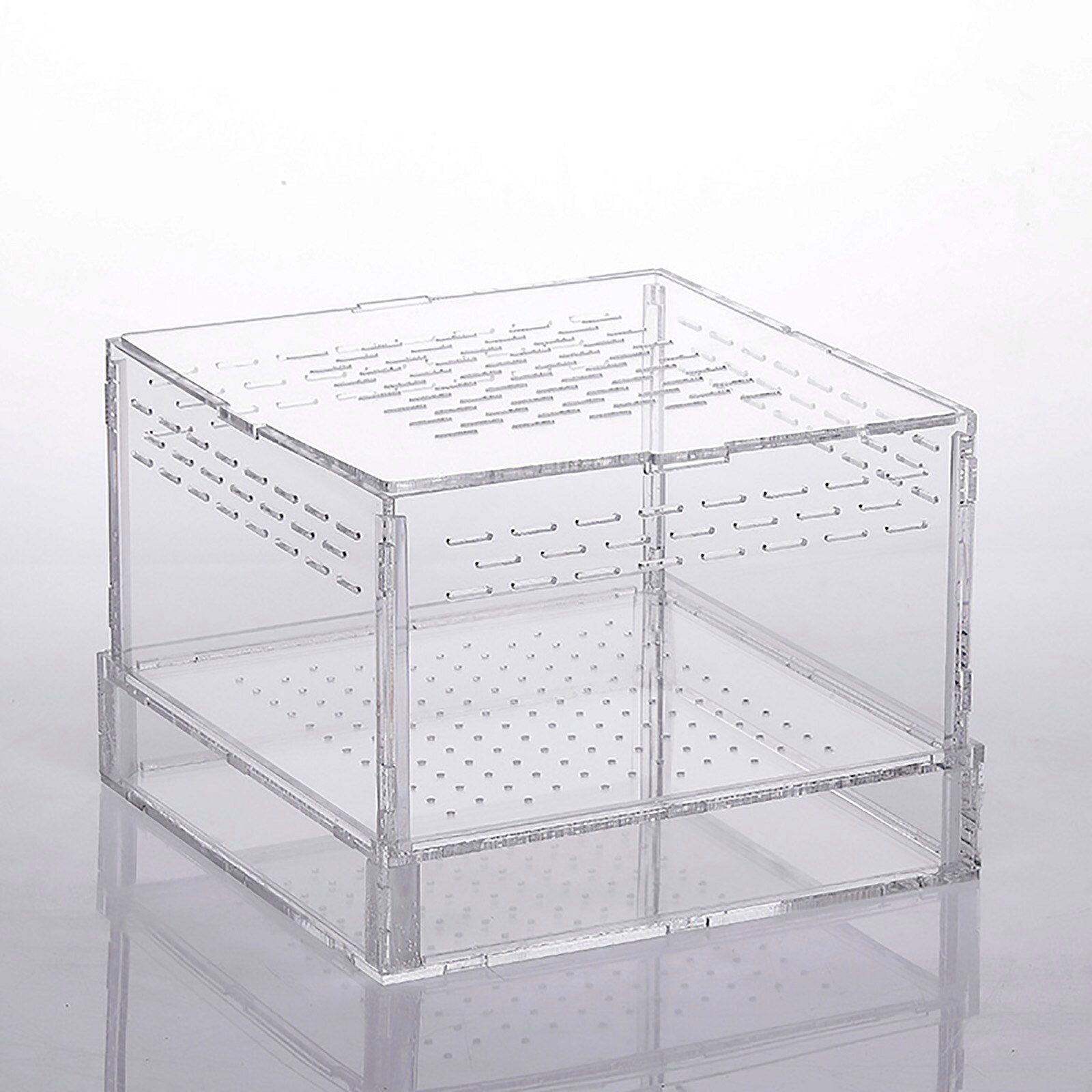 Spiders Breeding Box Insect Breeding Box Reptile B... – Grandado