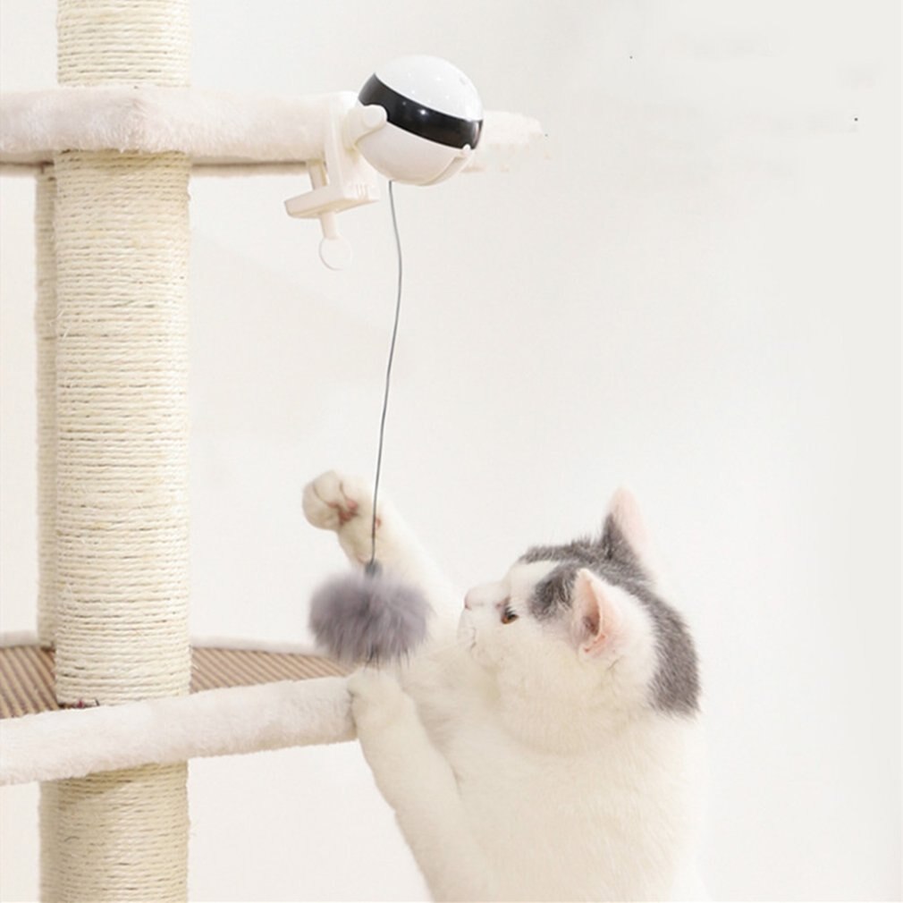 Automatic Motion Cat Toy Interactive Cat Teaser To... – Grandado