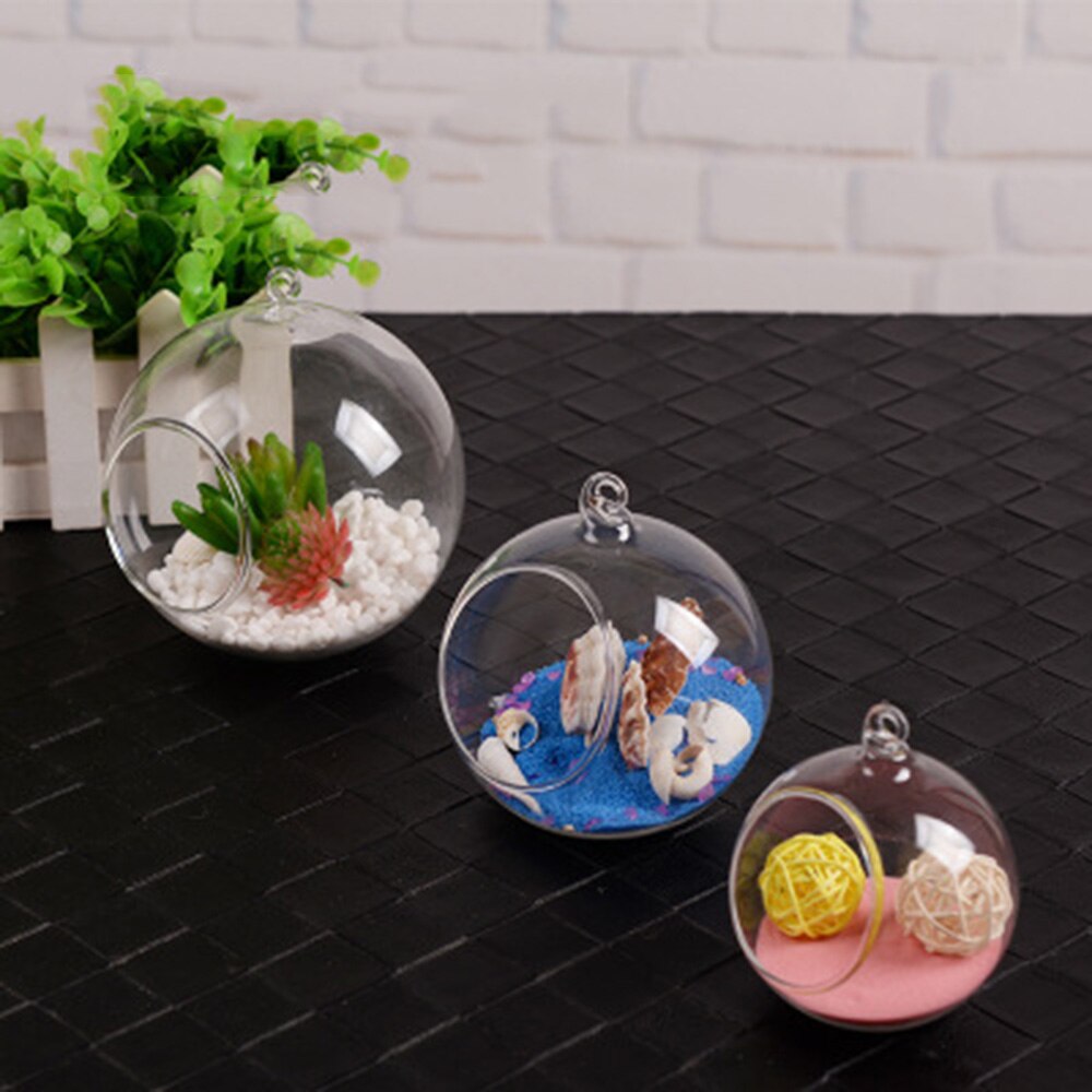 1Pcs Clear Glass Ball Globe Shape Terrarium Ball F... – Grandado