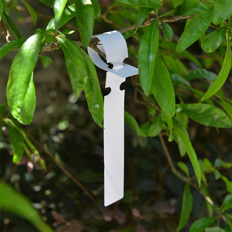K5DC 100 Pcs Wit Plastic Plant Boom Tags Kwekerij ... – Vicedeal