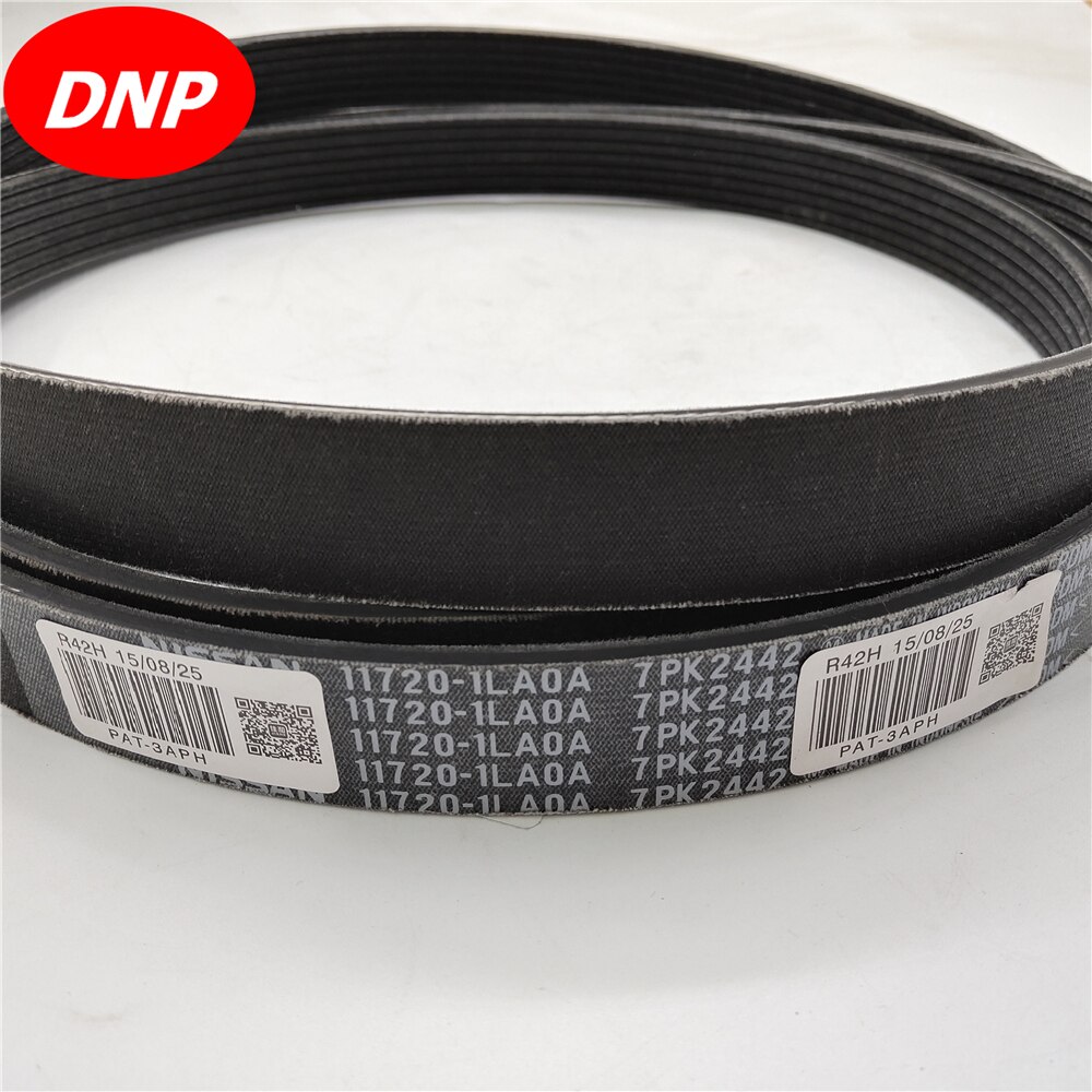 DNP Fan Belt fit for NISSANI Infiniti QX80 QX56 11... – Grandado