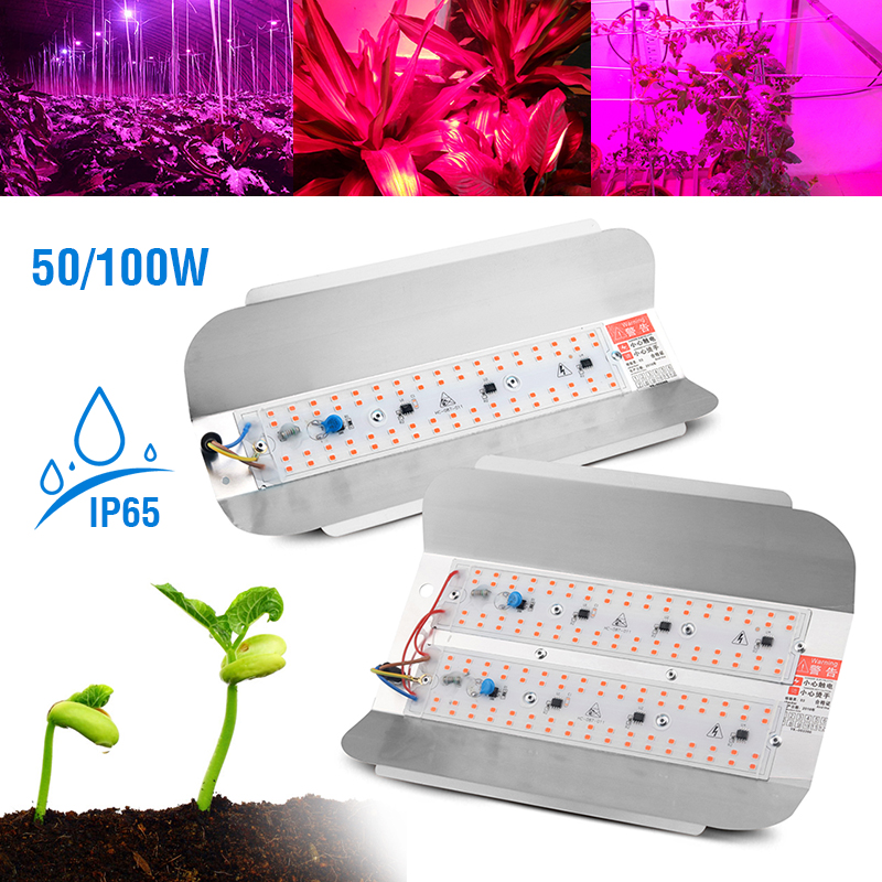 100W Grow Light Led Full Spectrum Lamp 50W 100W Le... – Vicedeal