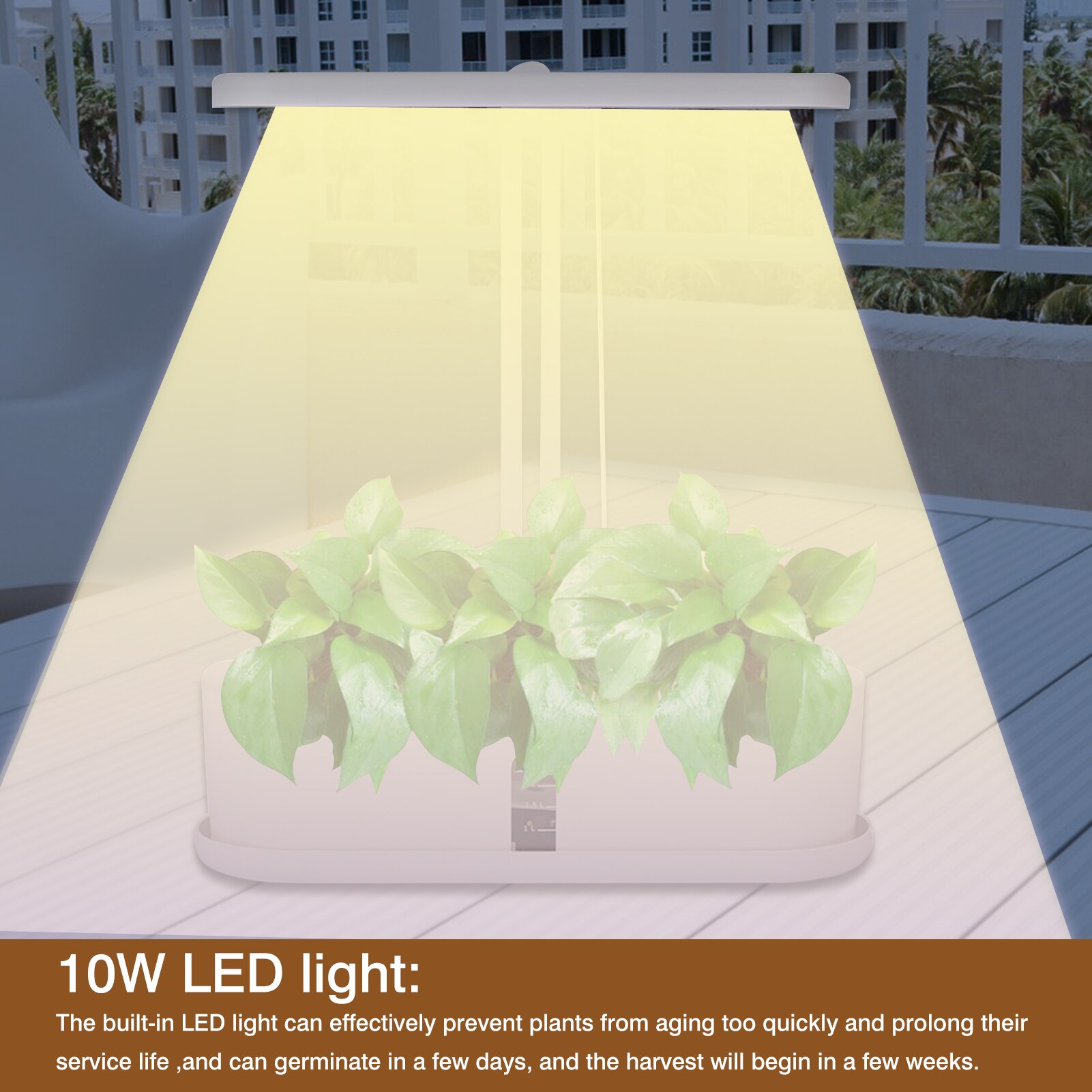 10W Quantum Grow Light Sunlike Full Spectrum LED B... – Grandado