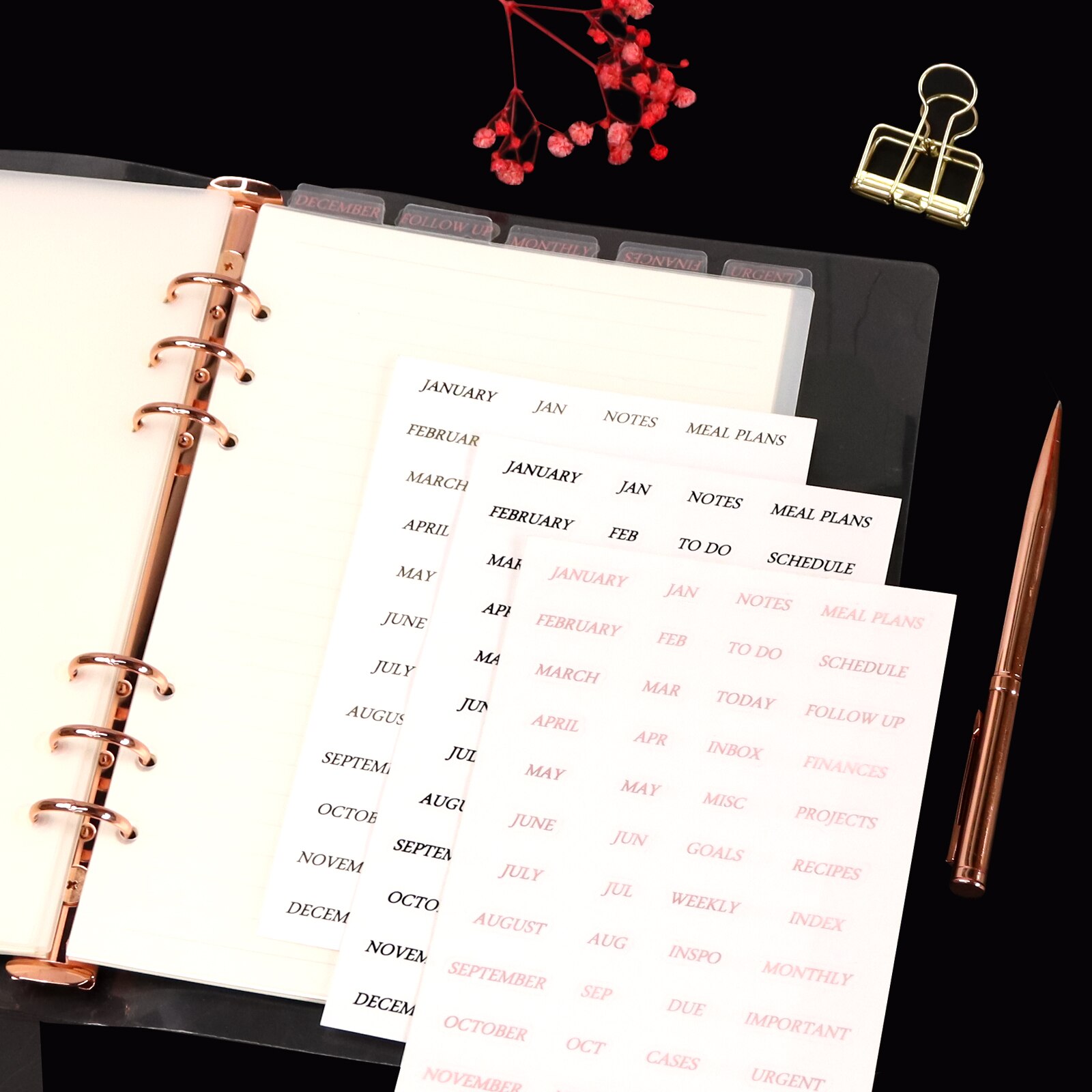 Sharkbang A5 A6 6 Holes Transparent Notebook Spira... – Vicedeal