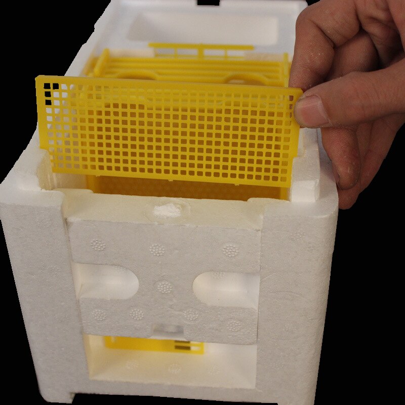 2pcs beehive queen rearing box Hive queen Pollinat... – Grandado