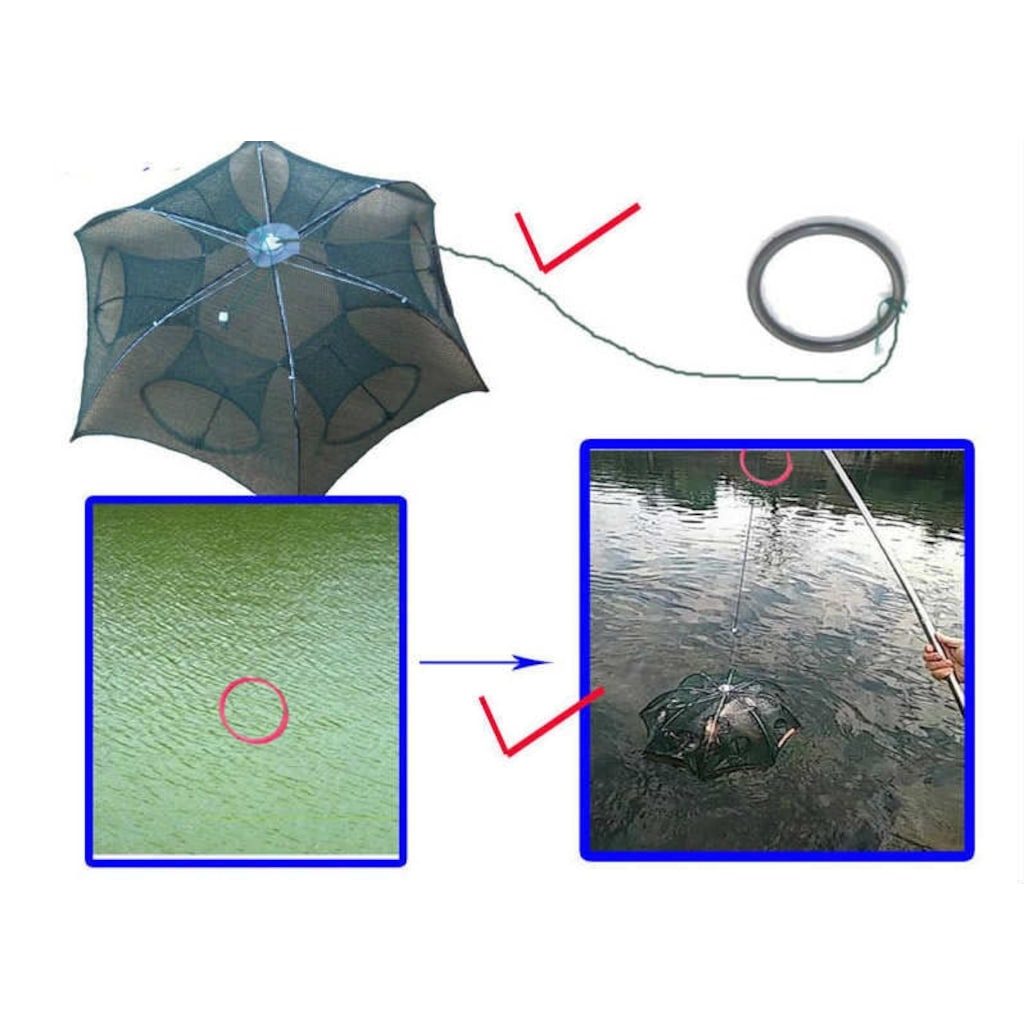 Fish Crab Trap 6 Entry Folding Fishing Net Trap – Grandado