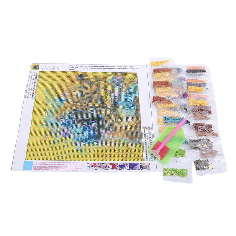 Picture Color Explosion Model DIY Diamond Painting... – Grandado