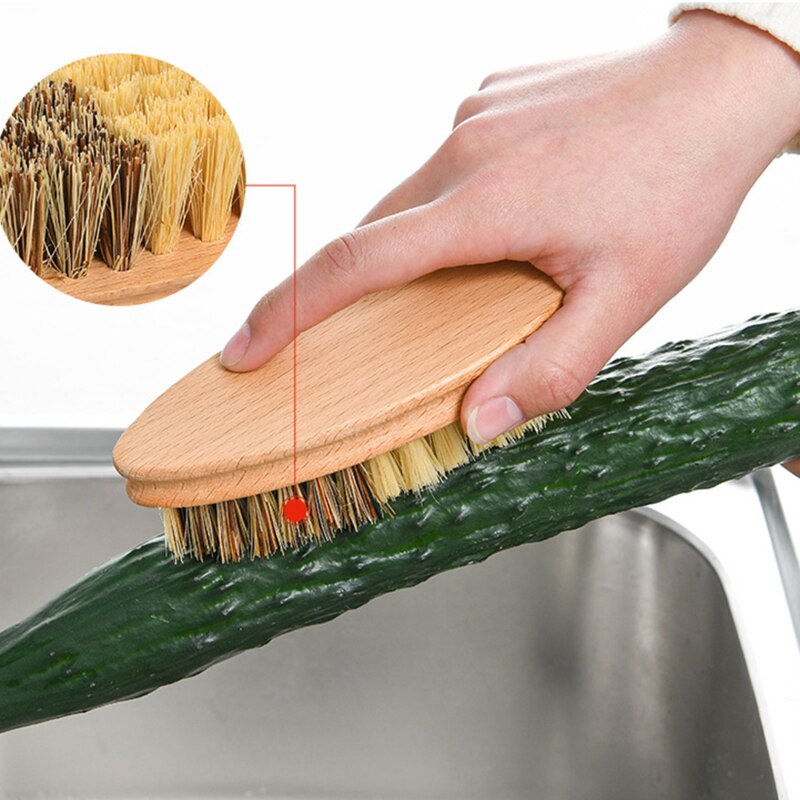 Kokospalm Fruit Borstel Wortel Hout Borstel Groent... – Vicedeal