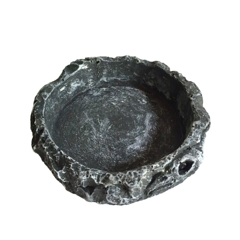 Reptile Bowl Turtle Water Dish Round Food Bowl Res... – Grandado