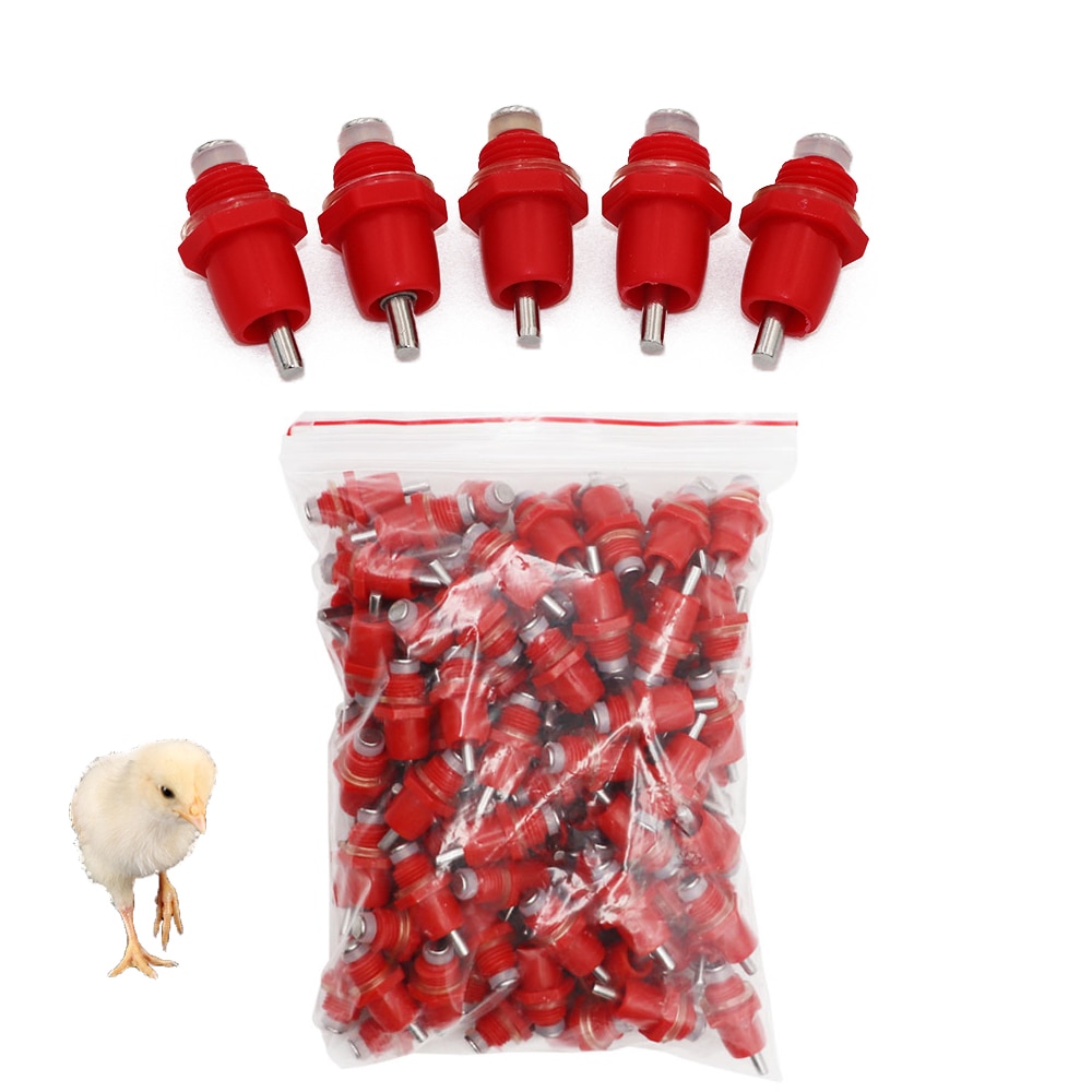 100pcs Plastic Blue Birds Quail Drinking Drinker A... – Grandado