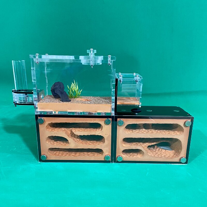 Ecological Ant Farm Unlimited Expansion Ant Nest Y... – Grandado