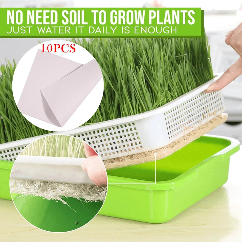 Double-layer Plastic Hydroponic Flower Basket Flow... – Grandado