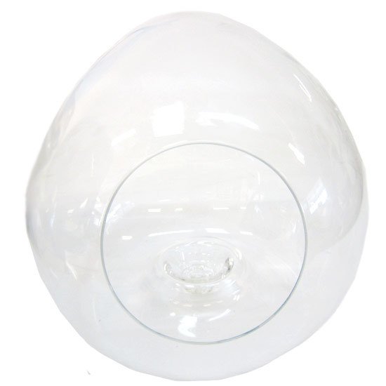 Giant Sphere Vase Terrarium-30x40 cm – Vicedeal