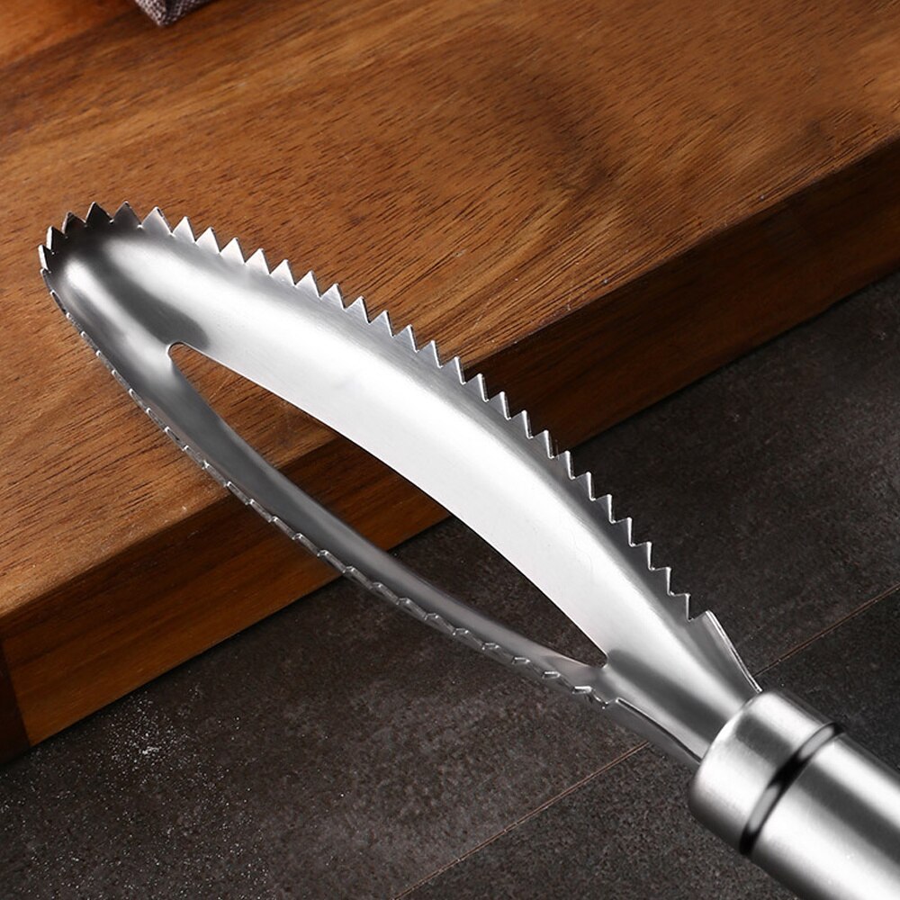 Stainless Steel Fish Scaler Remover Planer Scraper... – Grandado