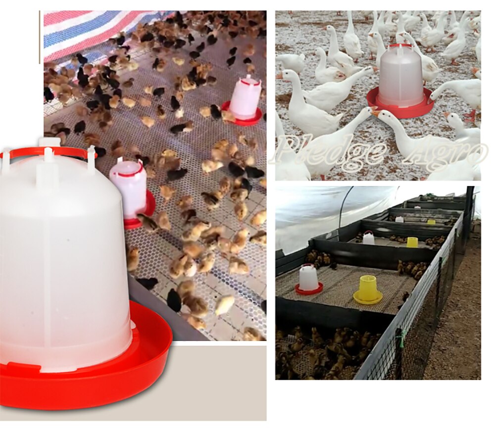 10L kip water gereedschap drink mijn bestellingen ... – Vicedeal