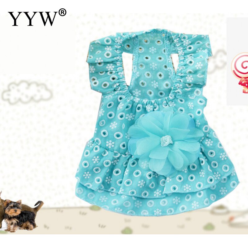 Kat Kleding Polyester Doek Huisdier Kleding Voor K... – Grandado